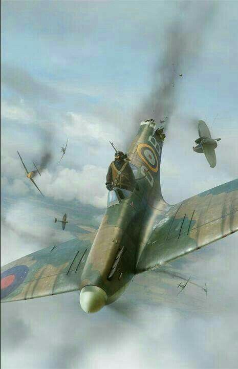 EMERGENCY PARACHUTE BAIL OUT - Parachuting Expert Witness UK ...